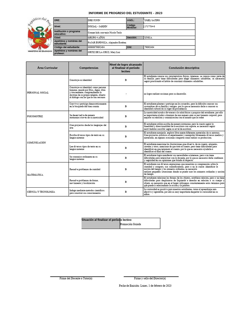 MODELO Boleta Informativa Inicial-1 | Descargar gratis PDF | Cognición