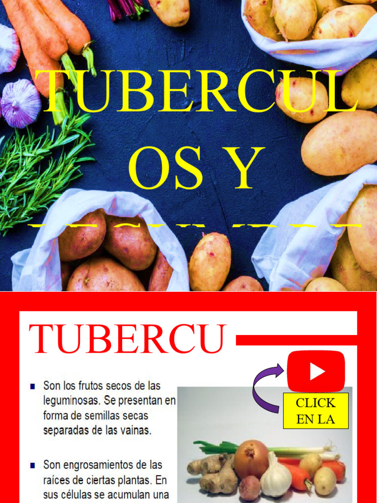 Tipos y Beneficios de Tubérculos | PDF | Patata | Batata