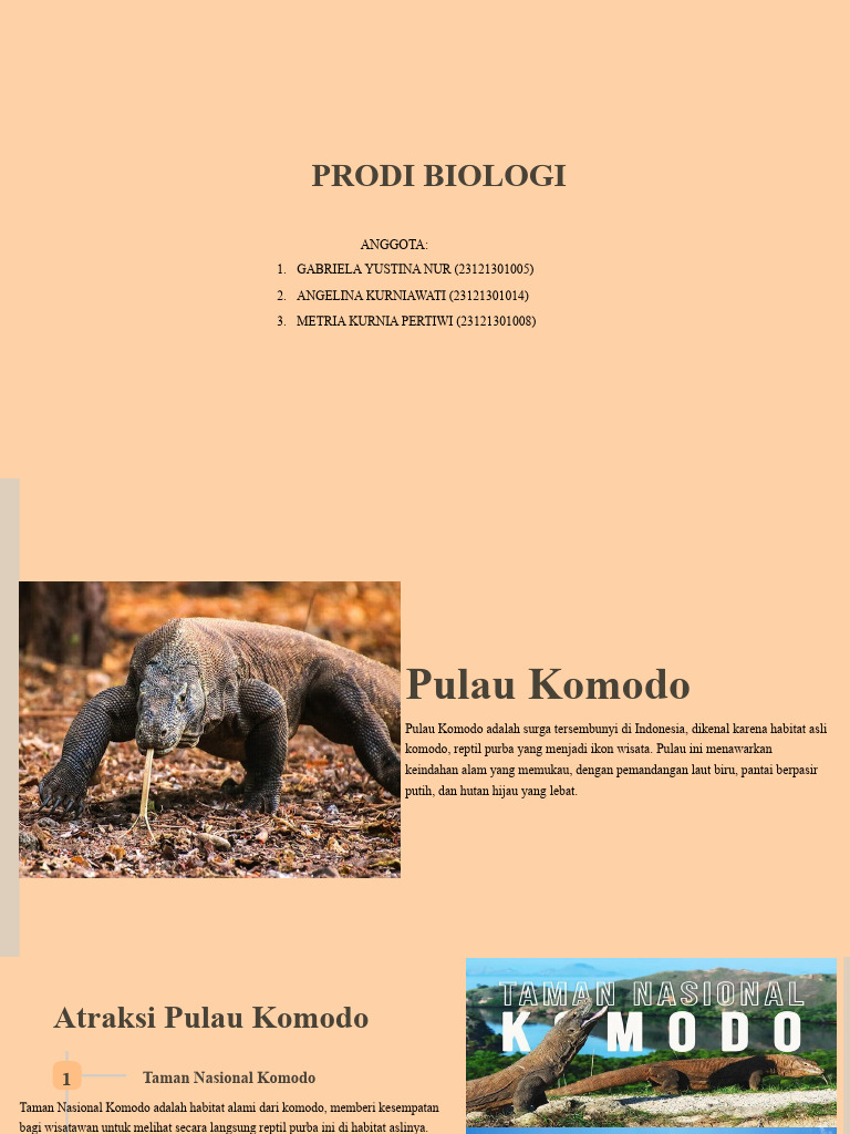Pulau-Komodo 1 | PDF