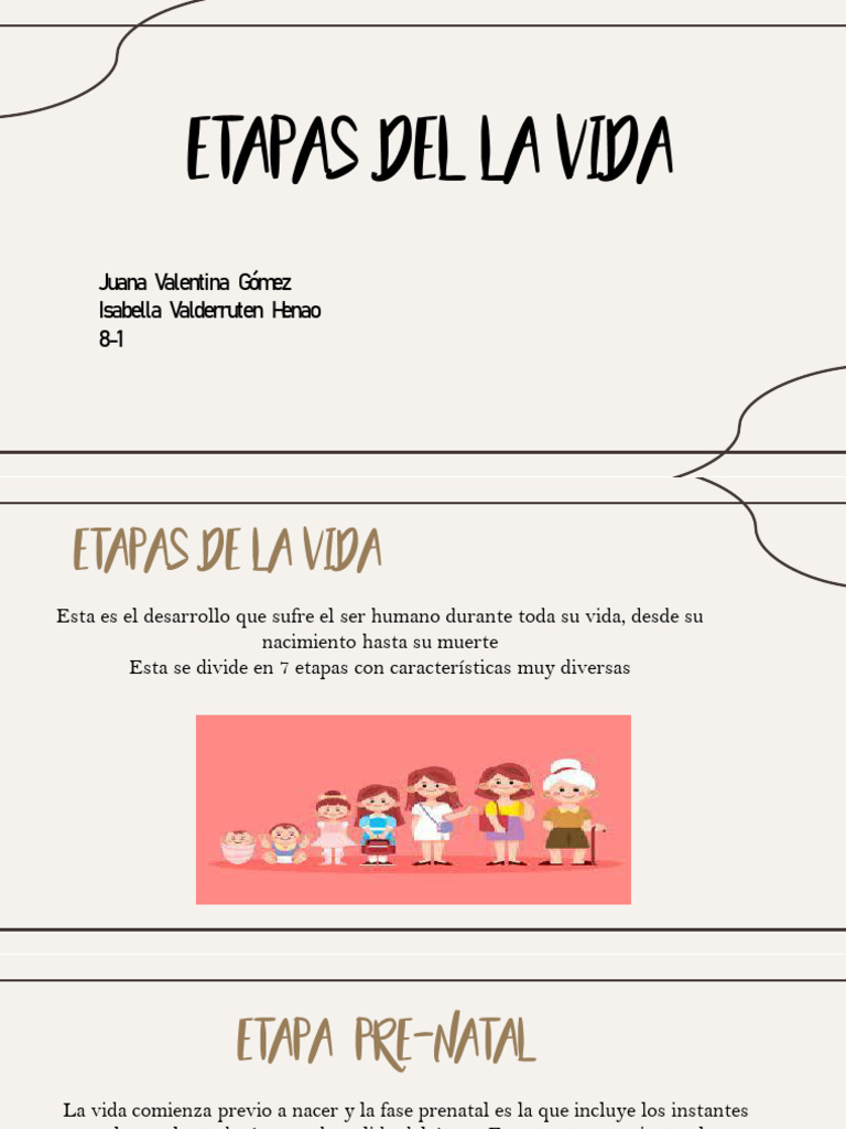 Etapas de La Vida | PDF | Adolescencia | Envejecimiento