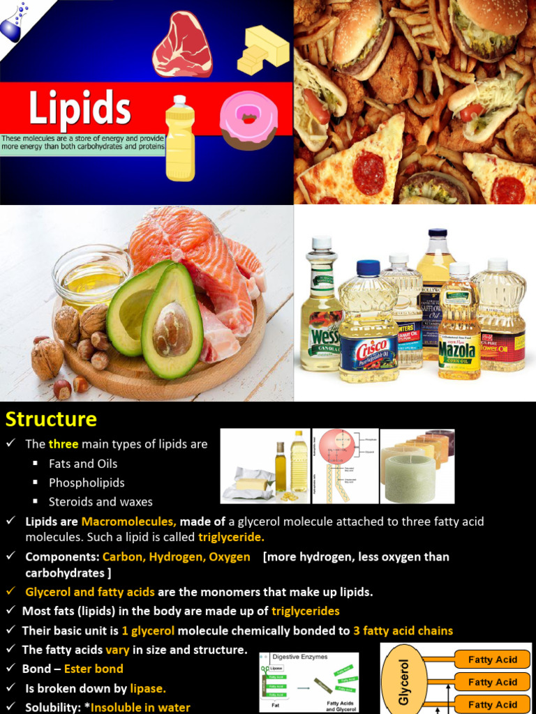 Lipids | PDF | Lipid | Vegetable Oil