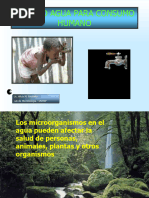 Coliformes en Agua Potable: Análisis y Riesgos | PDF | Biología ...