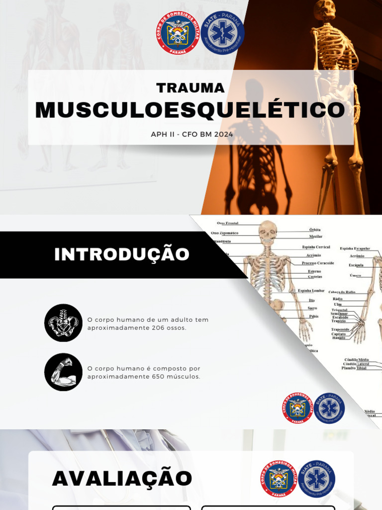 APH II - Aula 06 - Trauma Musculoesquelético | PDF | Pélvis | Especialidades médicas