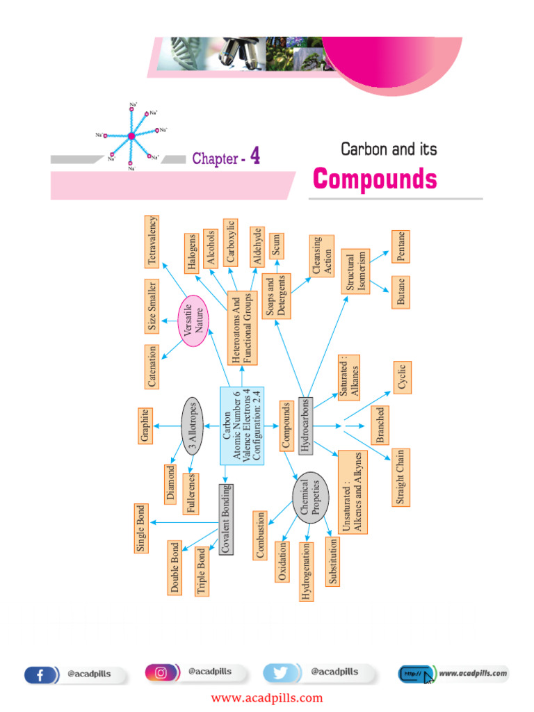 Carbon Compounds and Their Properties | PDF | Carbon | Alkene