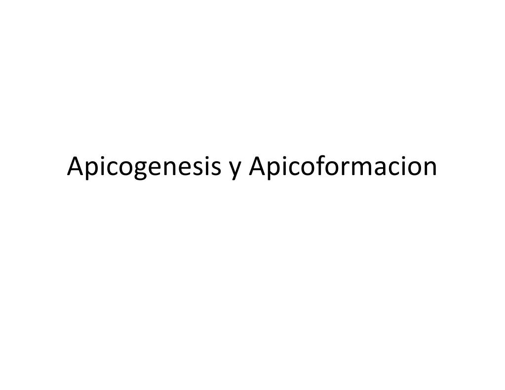 Apicogenesis y Apicoformacion | PDF | Ciencia y matemáticas