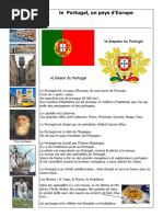 Exposé sur le Brésil : Culture et Histoire | PDF
