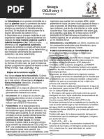 4to_GRADO_CIENCIAS_NATURALES_29-05-2020355 | PDF | Fotosíntesis ...