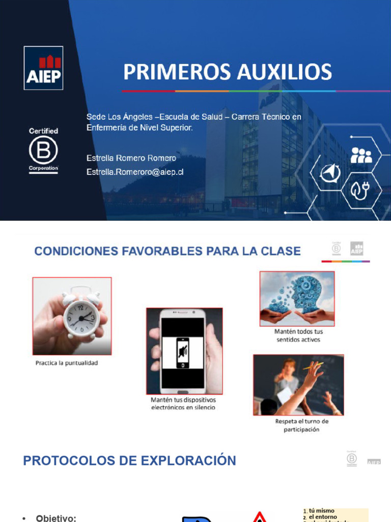 Clase 3 PAUX | PDF | Primeros auxilios | Avispa