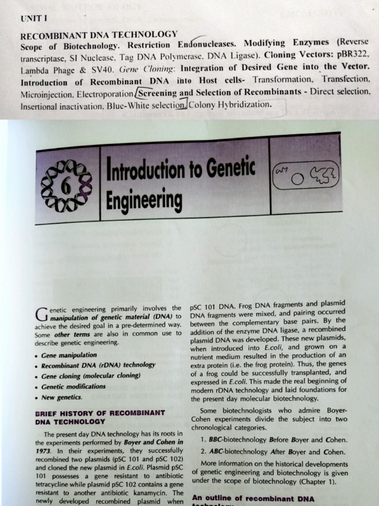 Animal Biotechnology (Unit-1) | PDF | Molecular Cloning | Recombinant Dna
