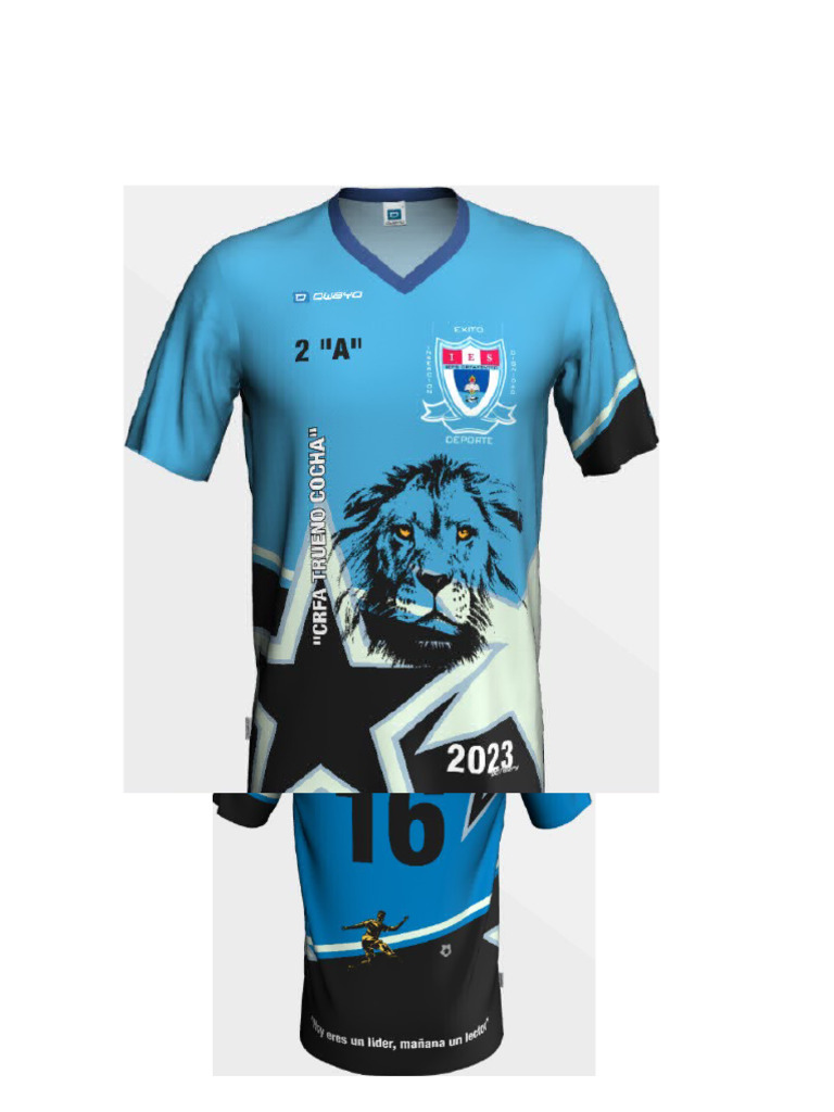 Imagen Polo Crfa | PDF