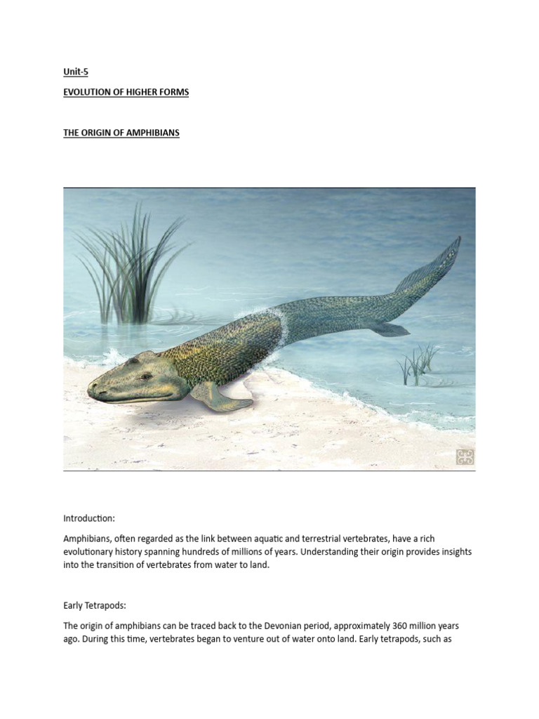 Evolution Unit-5 | PDF | Dinosaurs | Human Evolution