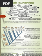 Anatomía del Hámster: Estudio Detallado | PDF | Mamíferos | Reptil