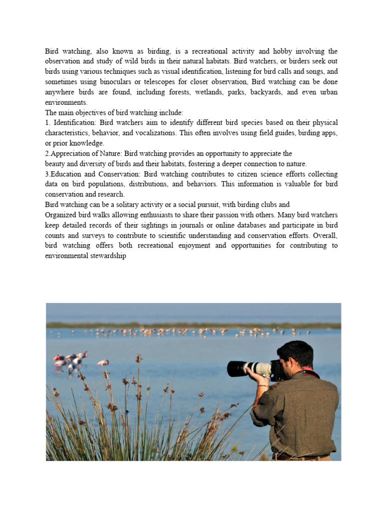 Evs Report | PDF | Conservation Biology | Birdwatching