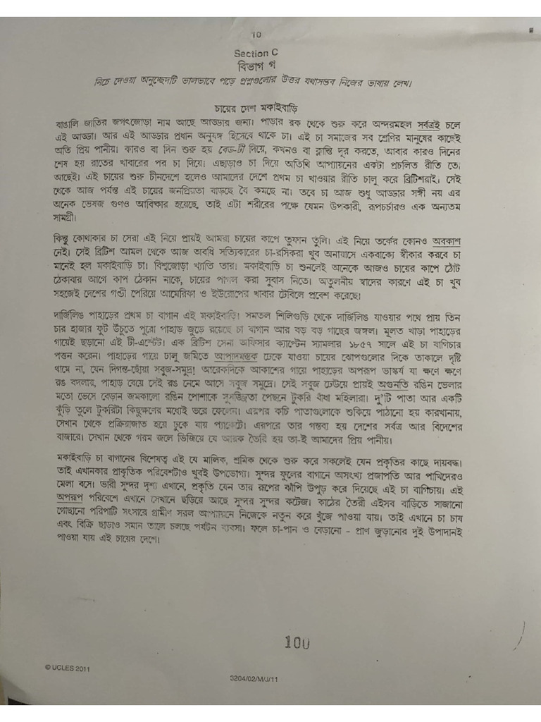 Bangla - Assignment - VIII | PDF