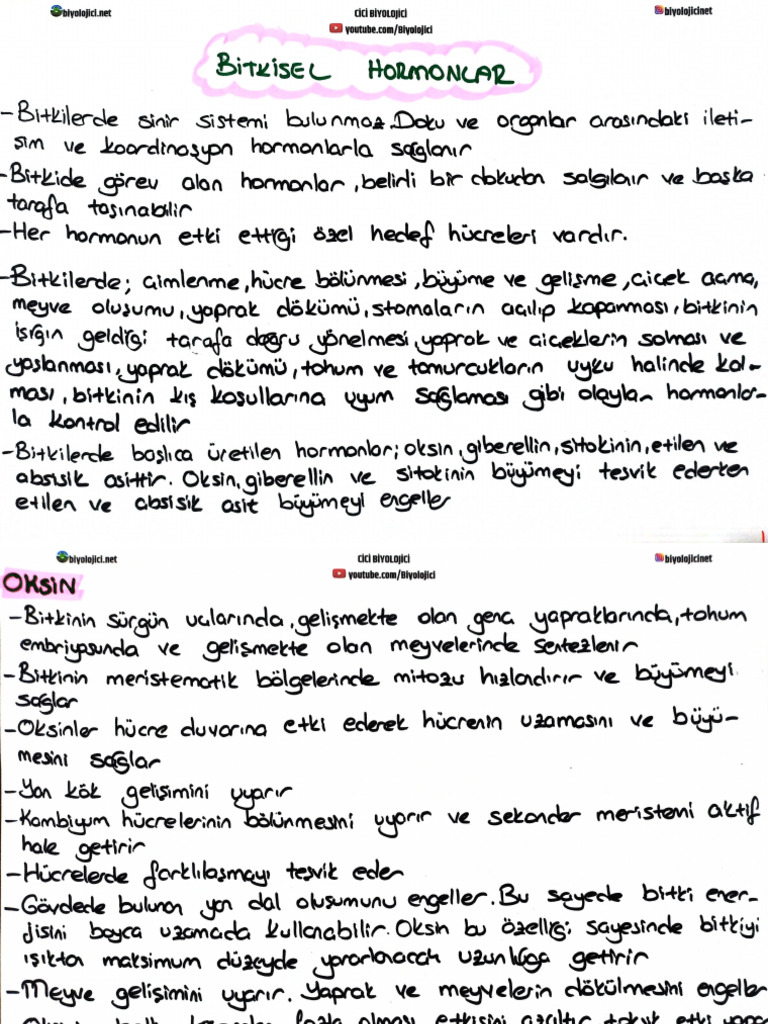 Bitkisel Hormonlar | PDF