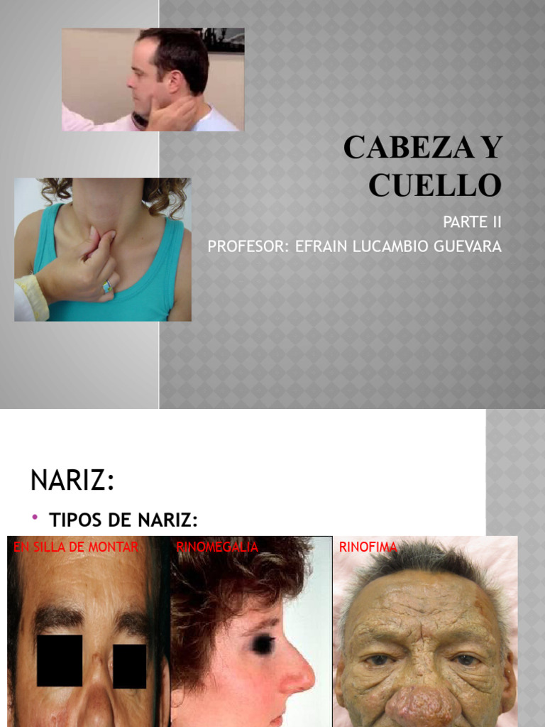 Semiología de Cabeza y Cuello 2 | PDF | Cabeza y cuello humanos | Anatomía humana