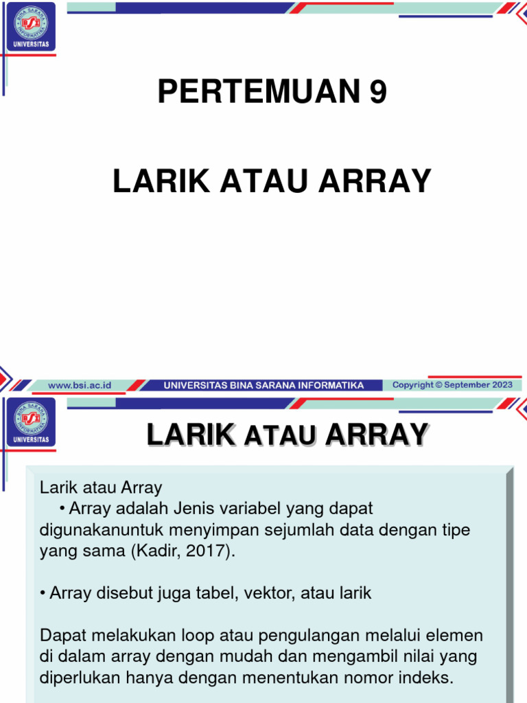 Panduan Lengkap Array dan Matriks | PDF