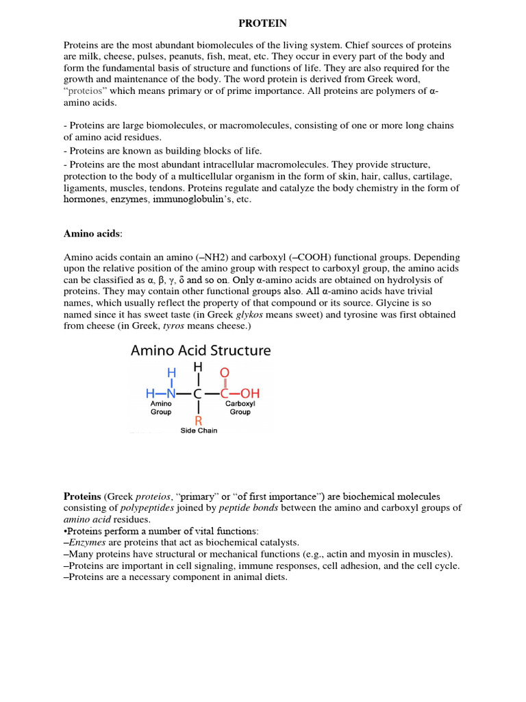 Overview of Protein Structure and Function | PDF | Protein Structure ...