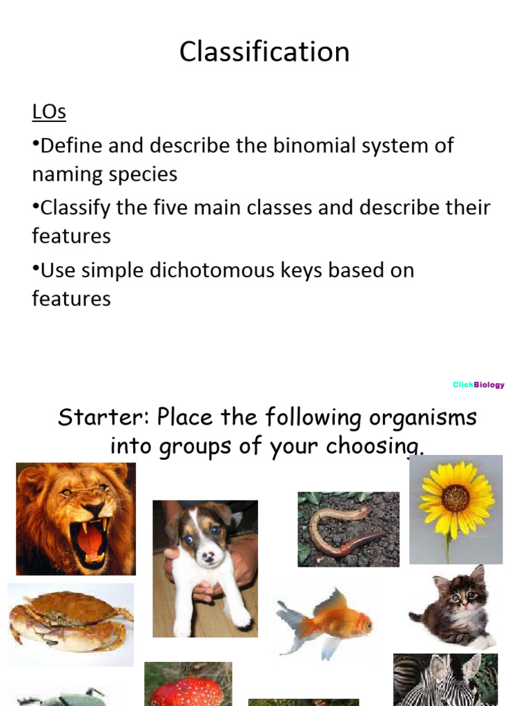 Classification Biology | Download Free PDF | Cell (Biology) | Microorganism