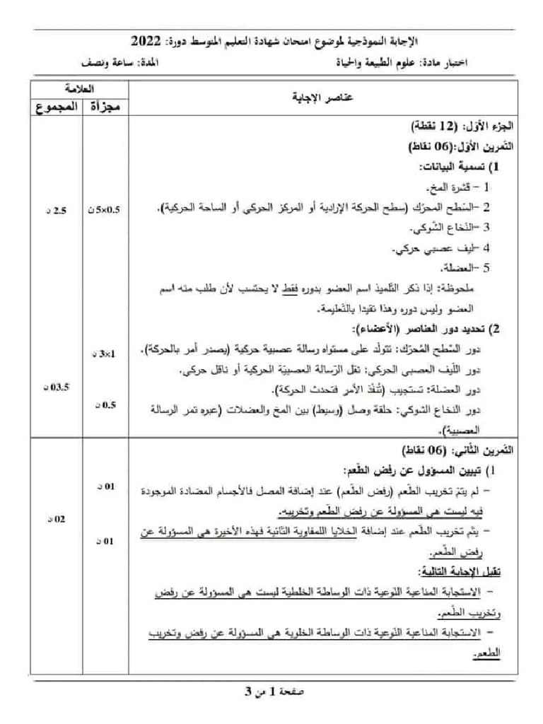 Bem2022 Sciences Correction | PDF