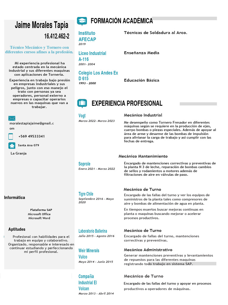 CV Jaime Morales Vog | PDF | Análisis de Riesgo y Puntos Críticos de Control