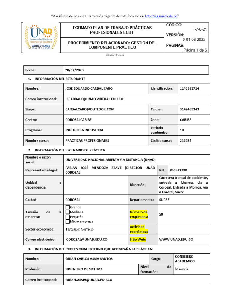 Anexo 1 - Formato Plan de Trabajo Actualizado 2022 (Editado) | PDF | Diseño | Gestión de proyectos