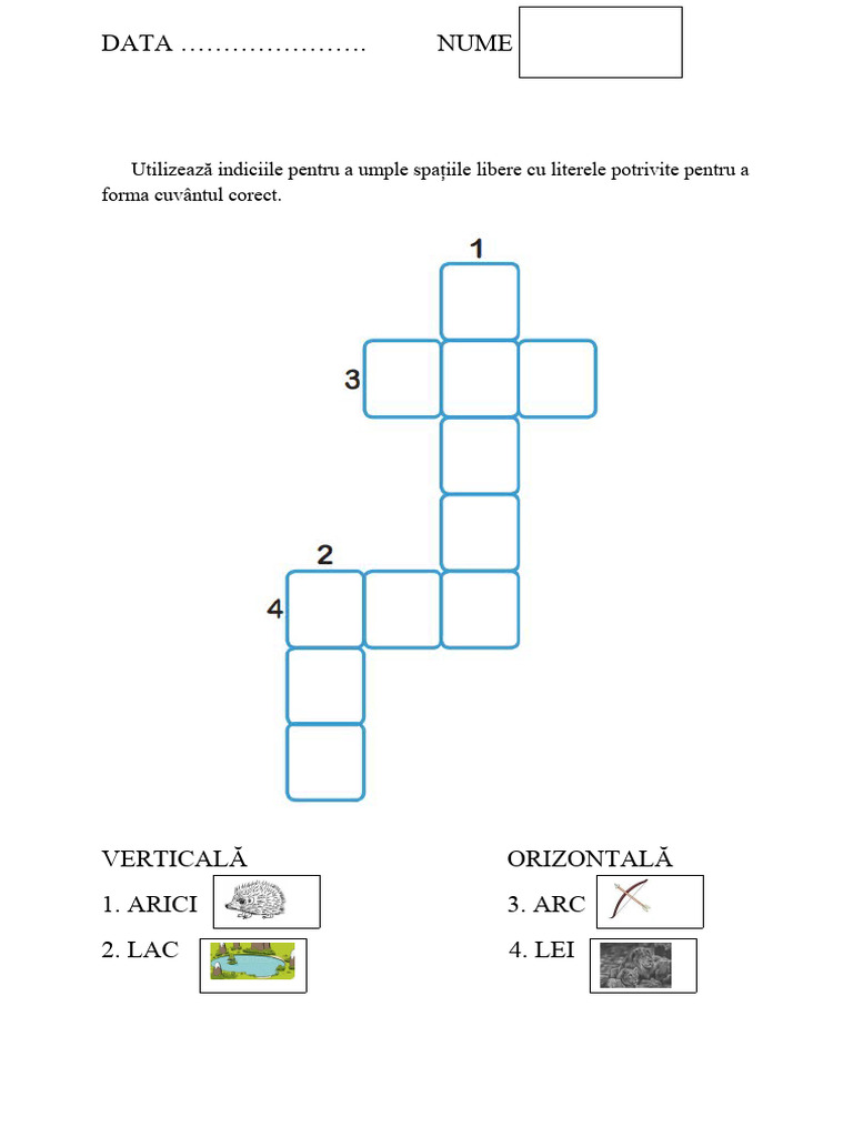 Fise REBUS | PDF
