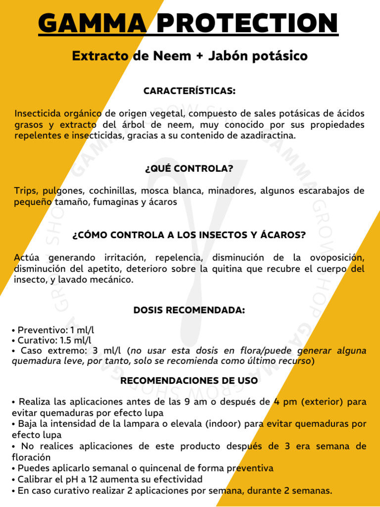 Gamma Protection v2 | PDF