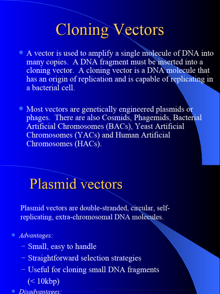 1 Cloning Vectors | PDF | Molecular Cloning | Vector (Molecular Biology)