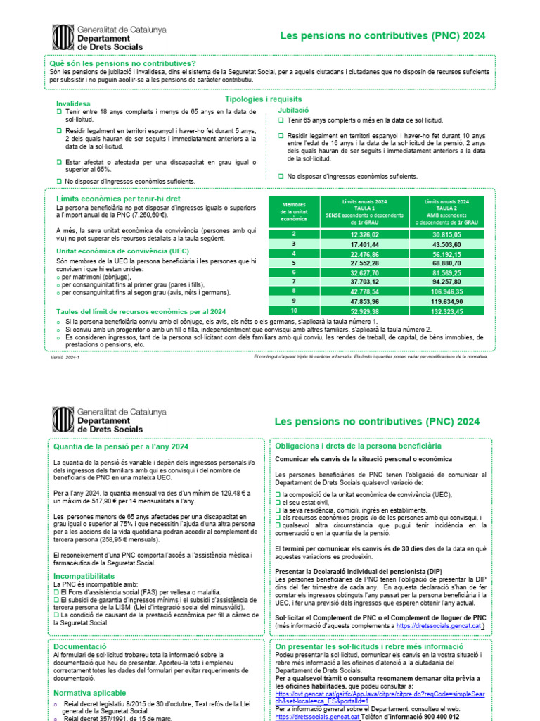 Triptic PNC 2024 | PDF