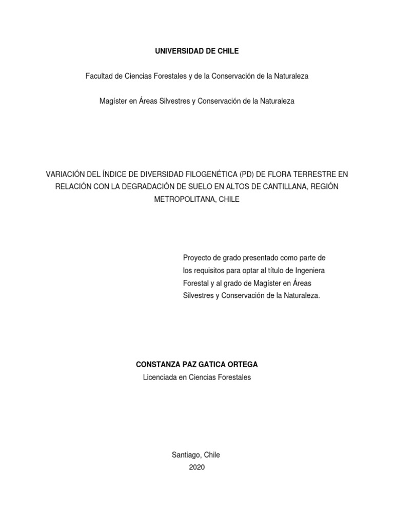 Constanza Gatica Final | PDF | Biodiversidad | Montañas