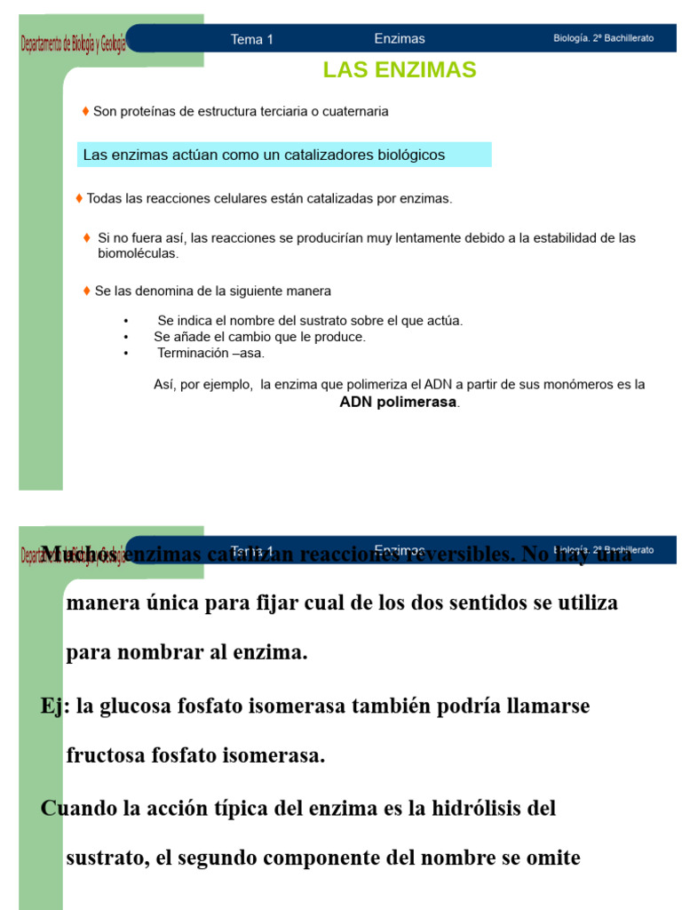 Clase 6 - Enzimas | PDF | Inhibidor de la enzima | Enzima