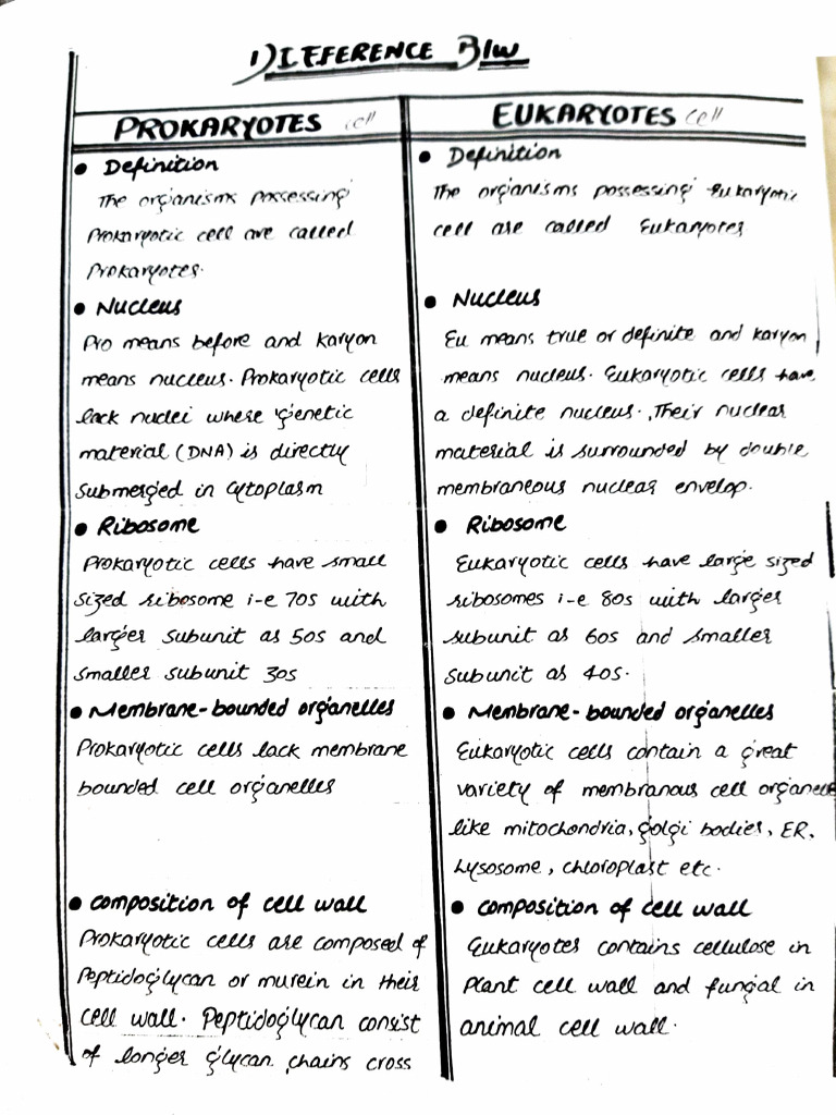 Prokaryotes vs. Eukaryotes Comparison | PDF | Eukaryotes | Cytoplasm
