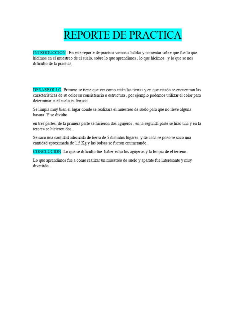 Reporte de Practica | PDF