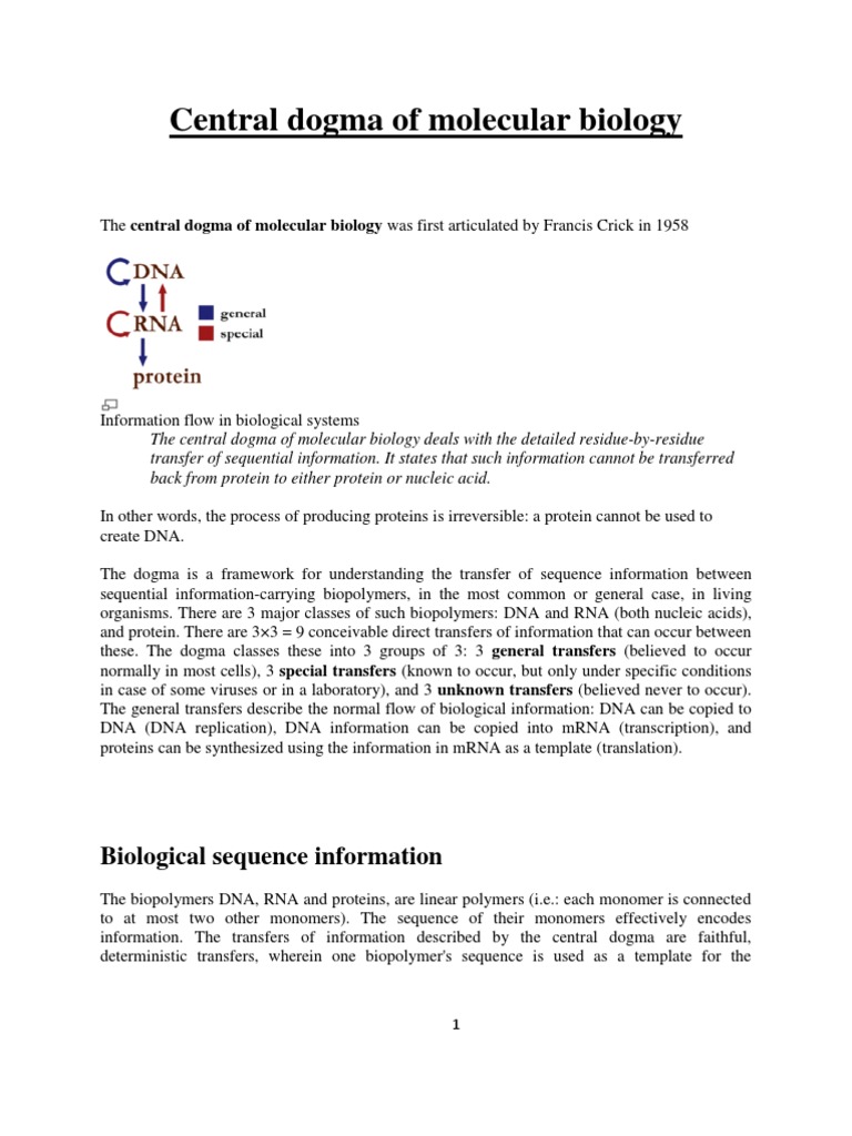 Overview of the Central Dogma | PDF | Rna | Translation (Biology)