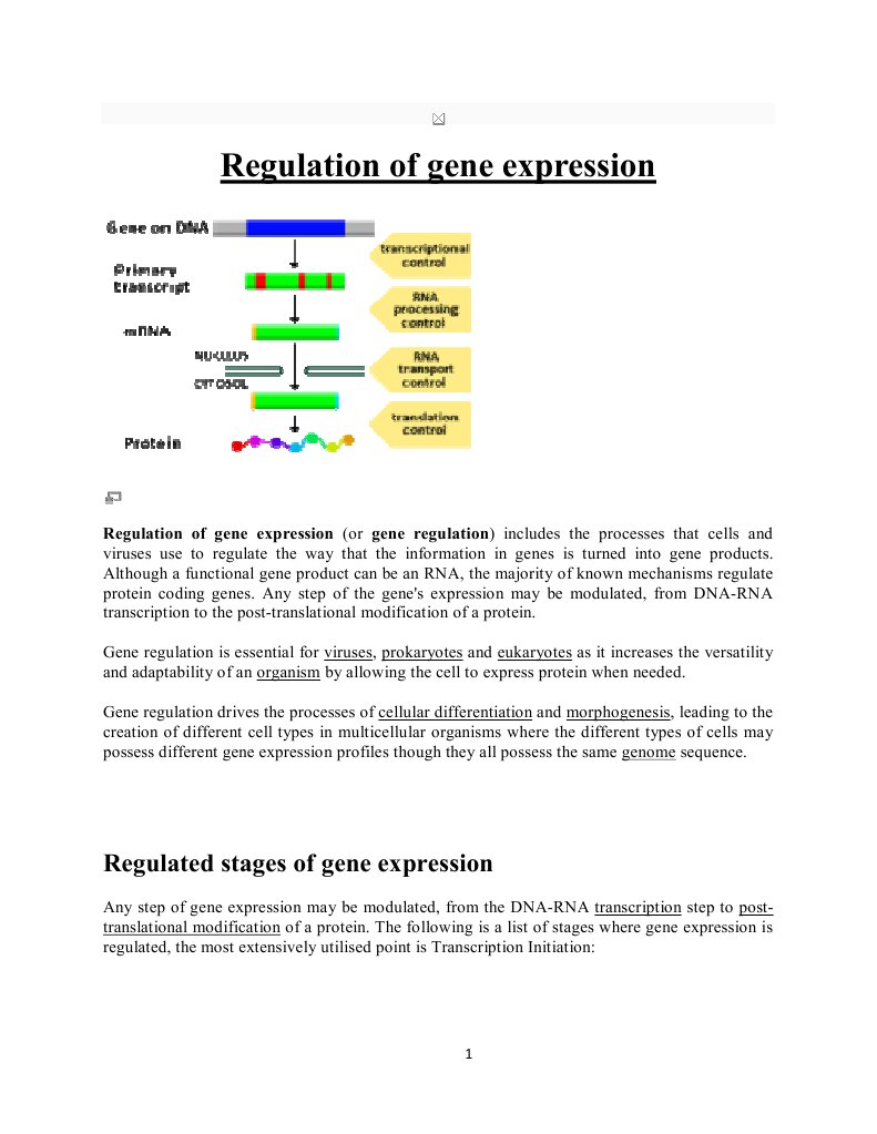 Regulation of Gene Expression | PDF | Regulation Of Gene Expression ...