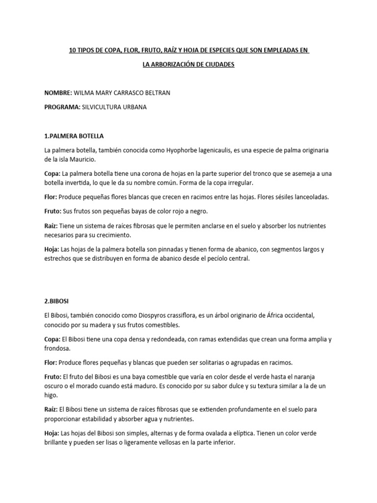 Tipos de Copas de Árboles para Arborización | PDF | Hoja | Arboles