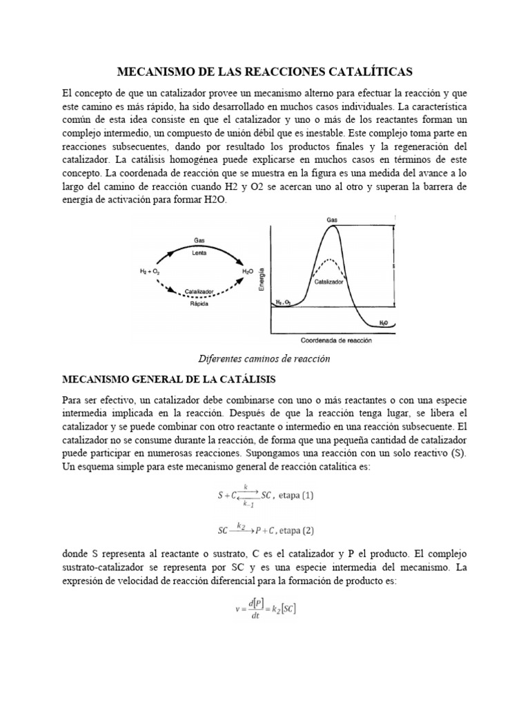 Mecanismo de Las Reacciones Catalíticas | PDF | Catálisis | Enzima