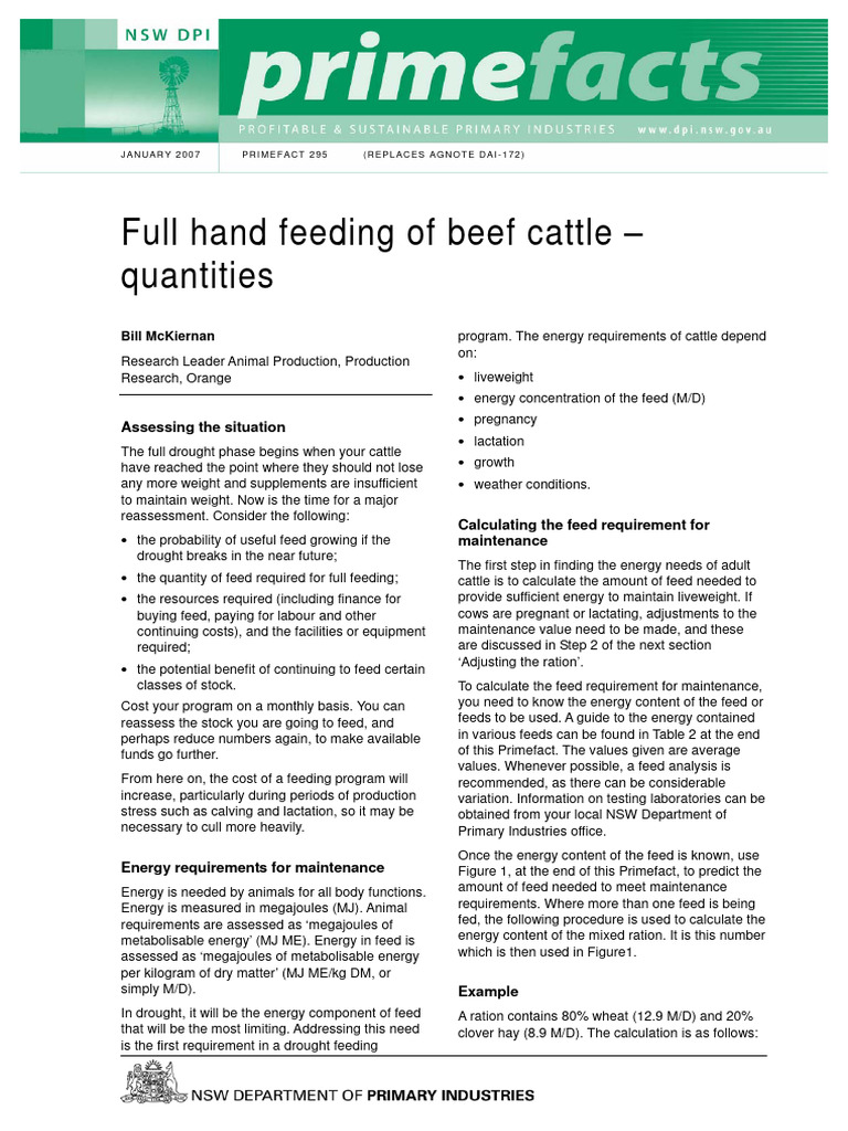 Full Hand Feeding of Beef Cattle | PDF | Fodder | Cottonseed