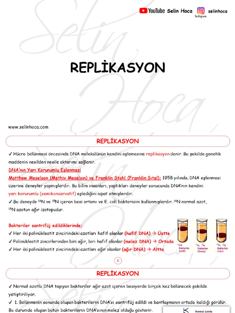 Replik | PDF
