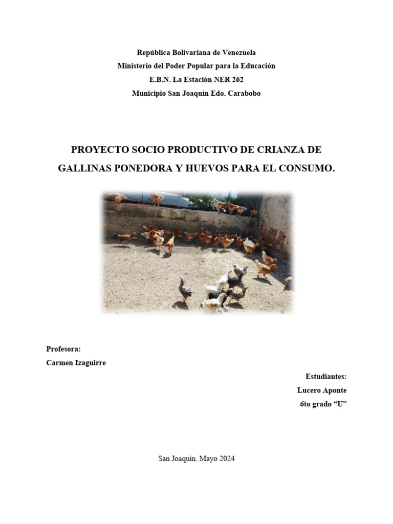 Proyecto Gallinas Ponedoras | PDF | Pollo | Alimentos