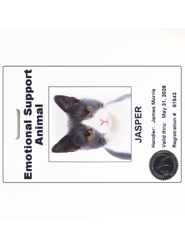 FINAL-ID-CARD-ESA | PDF