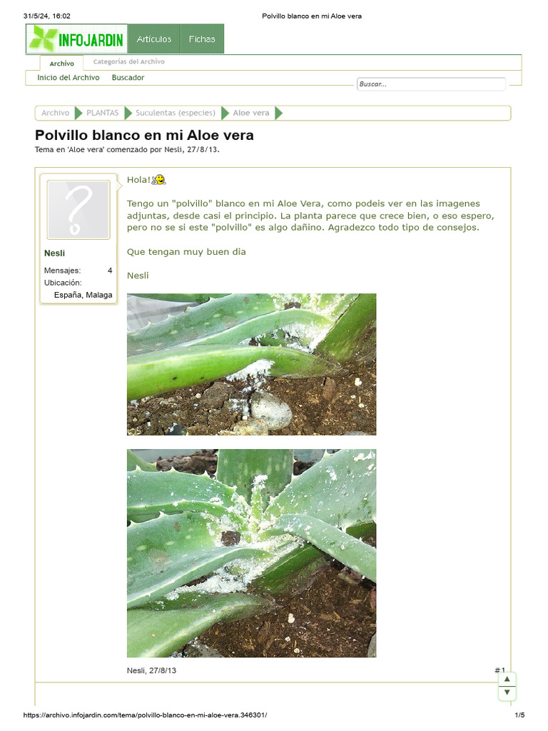 Polvillo Blanco en Mi Aloe Vera | PDF