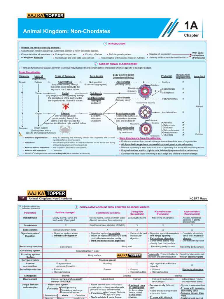 Biology NCERT Mind Map | PDF | Invertebrate | Biology