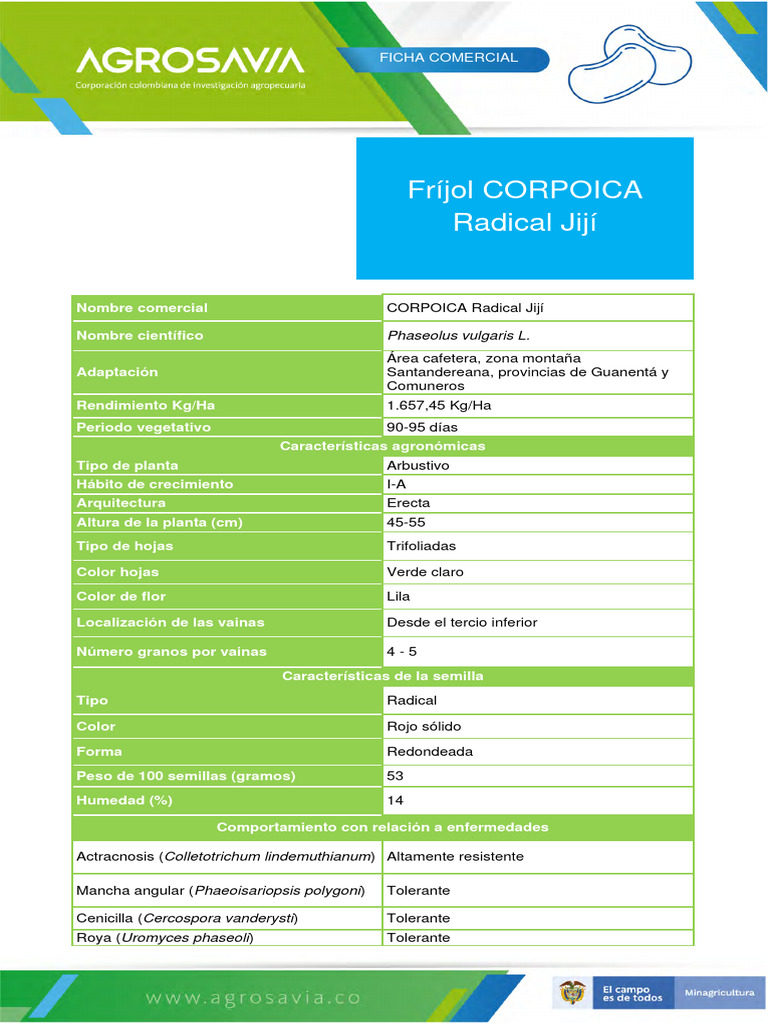 2-Ficha Radical Jiji | PDF | Horticultura | Agricultura