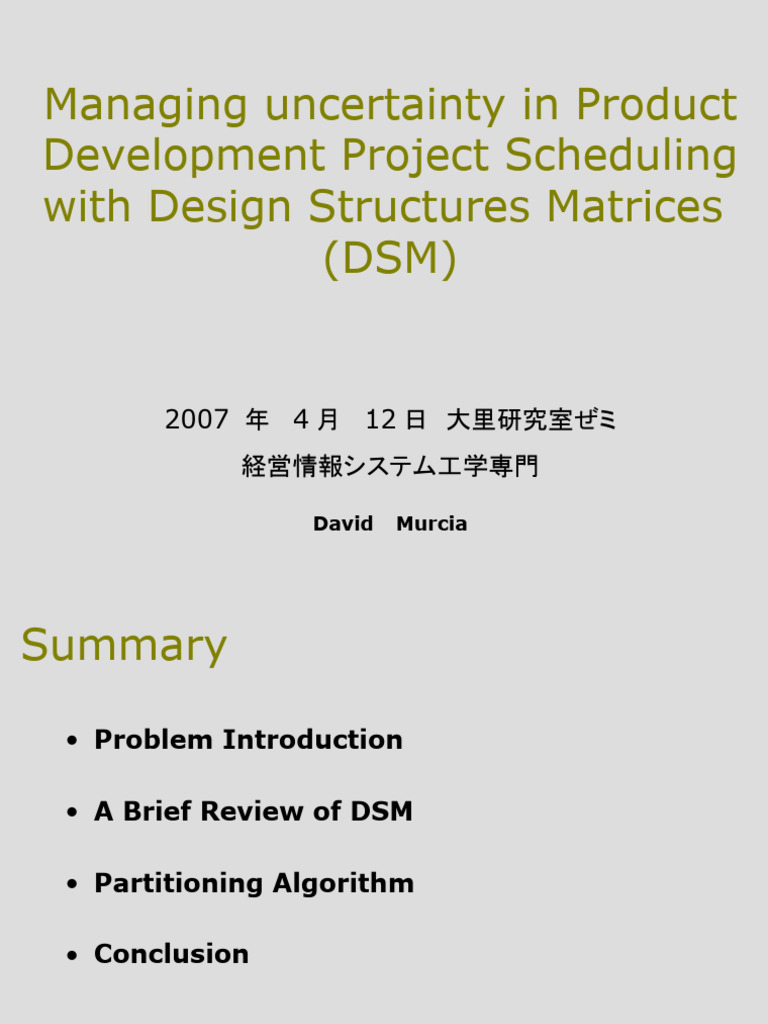 DSM Presentation I 13 April 07 | PDF | Algorithms | Applied Mathematics