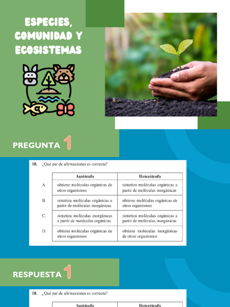 Flujo de Energía y Nutrientes Ecosistémico | PDF | Organismos | Ecosistema
