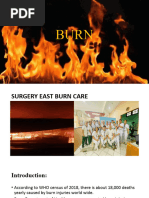 Burns Lecture Powerpoint | PDF | Burn | Clinical Medicine