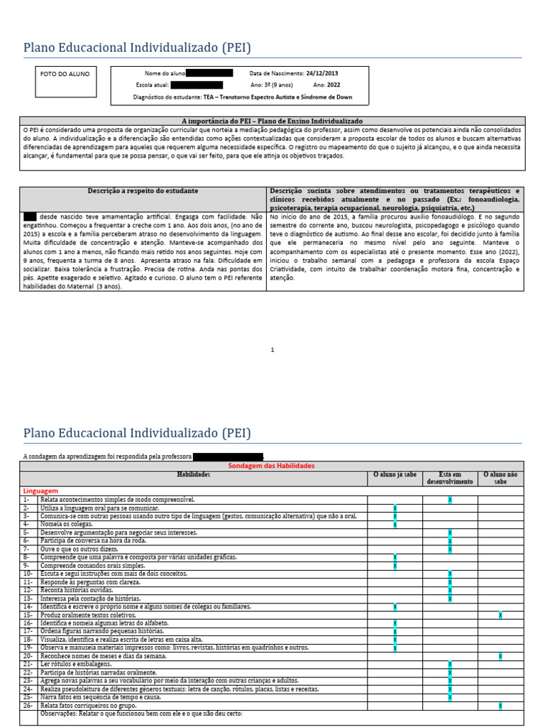PEI - Plano de Ensino Individualizado - Modelo 02 | PDF | Espectro do ...