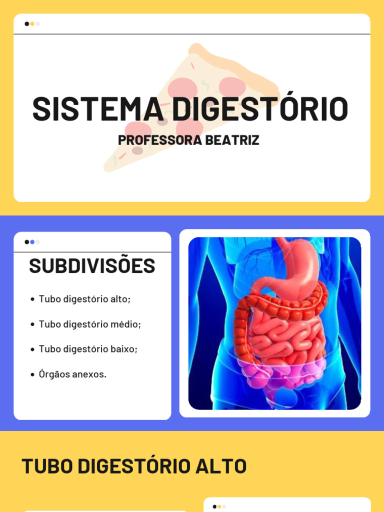 Sistema Digestório | Download grátis PDF | Sistema digestivo humano ...